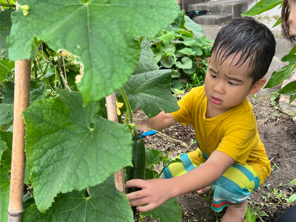 保育 Root HOUSE - ルートハウス 保育園 /尾張旭市/愛知県/ 一時保育・手ぶら登園 保育士